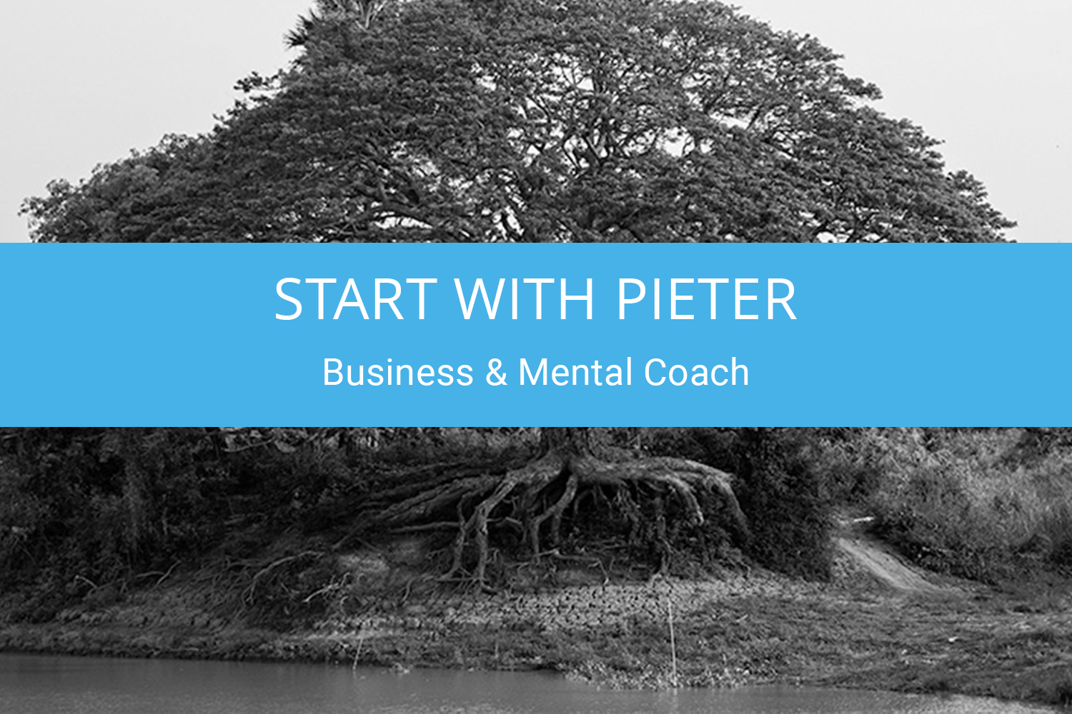 Accueil Start With Pieter